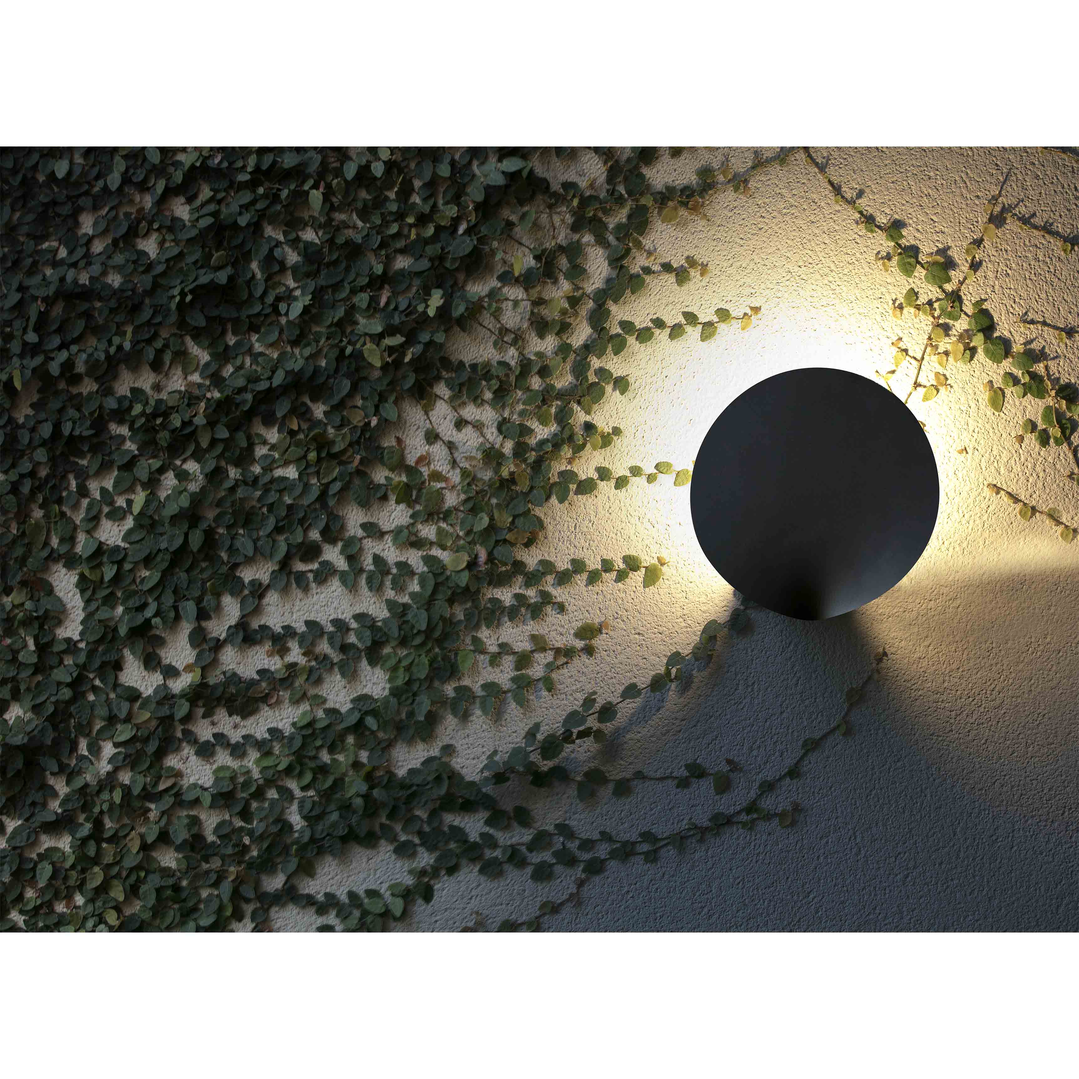 LOTUS Dark grey wall lamp – Landlite Designer Lightings
