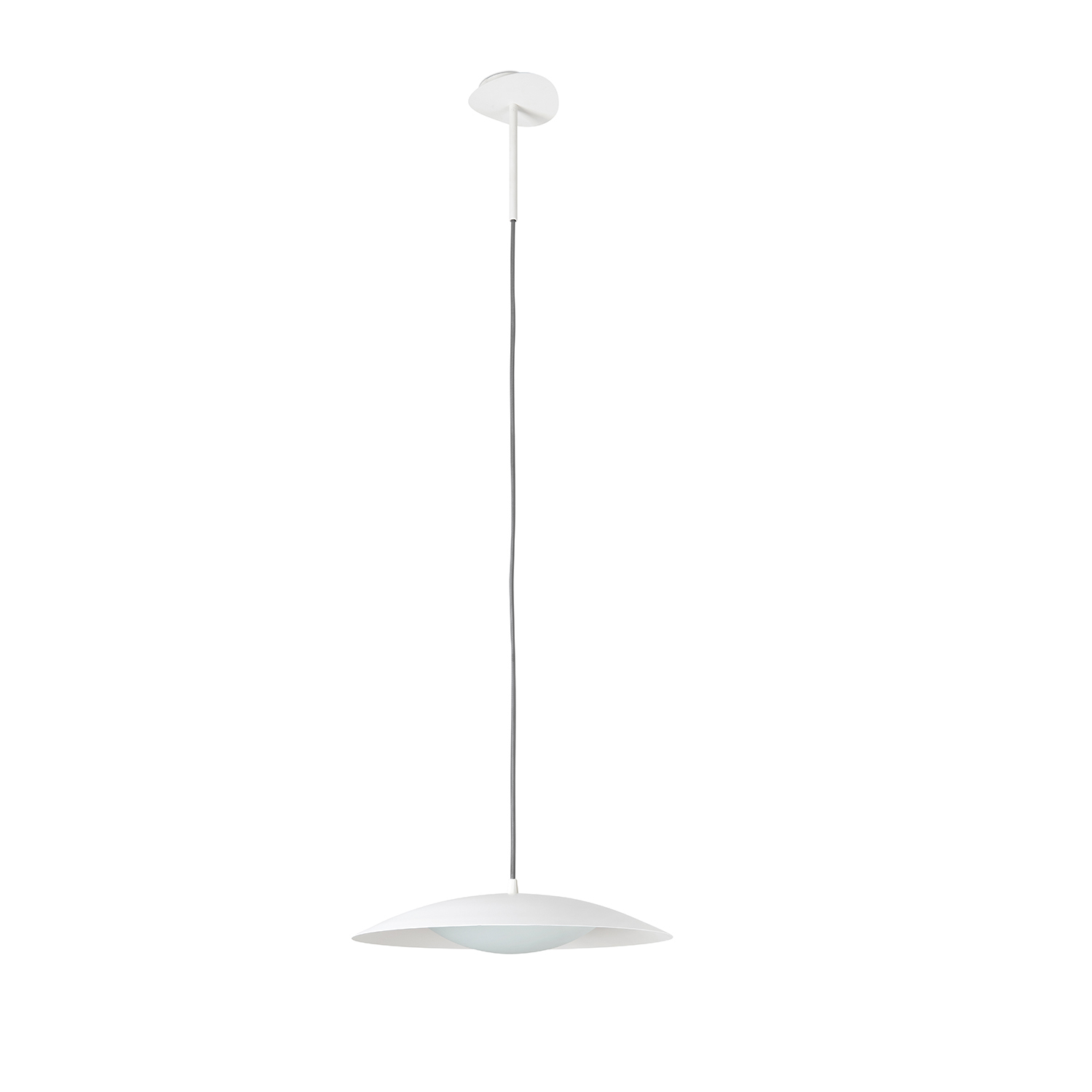 24500 SLIM LED WHITE PENDANT/WALL LAMP – Landlite Designer Lightings